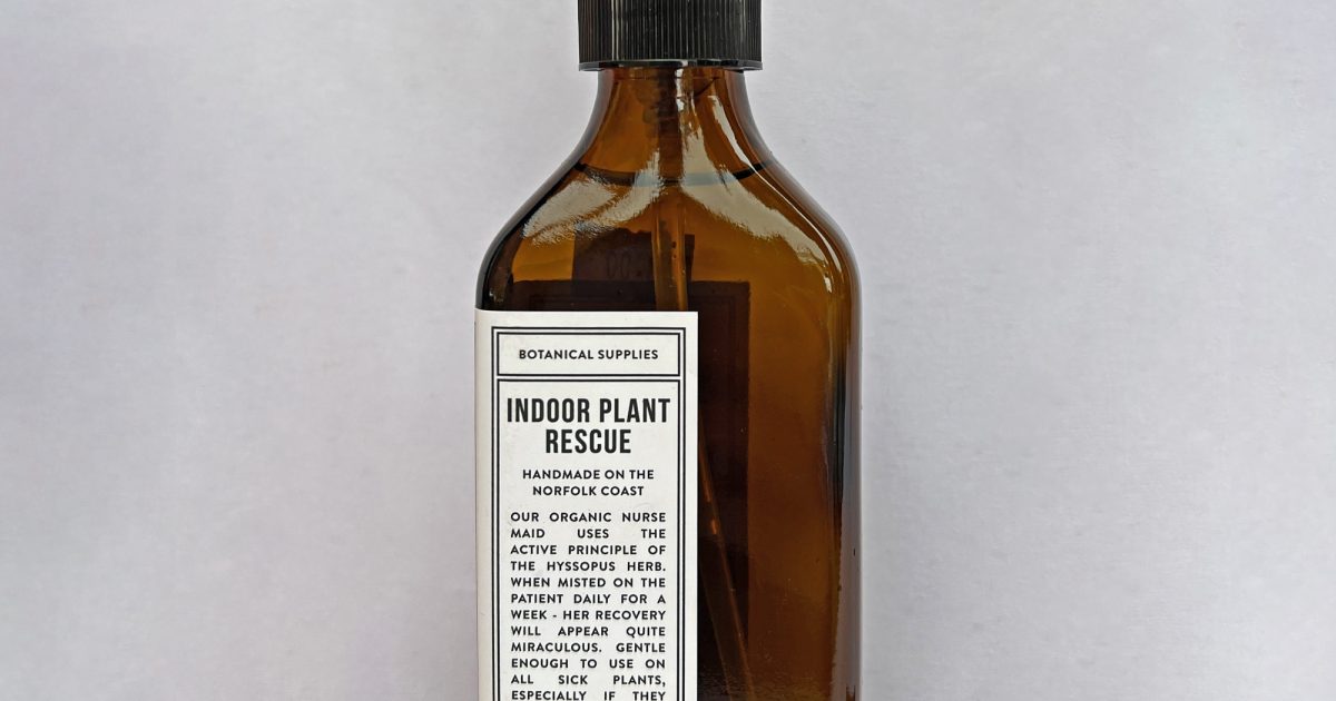 Indoor Plant Rescue | The Flower Plant